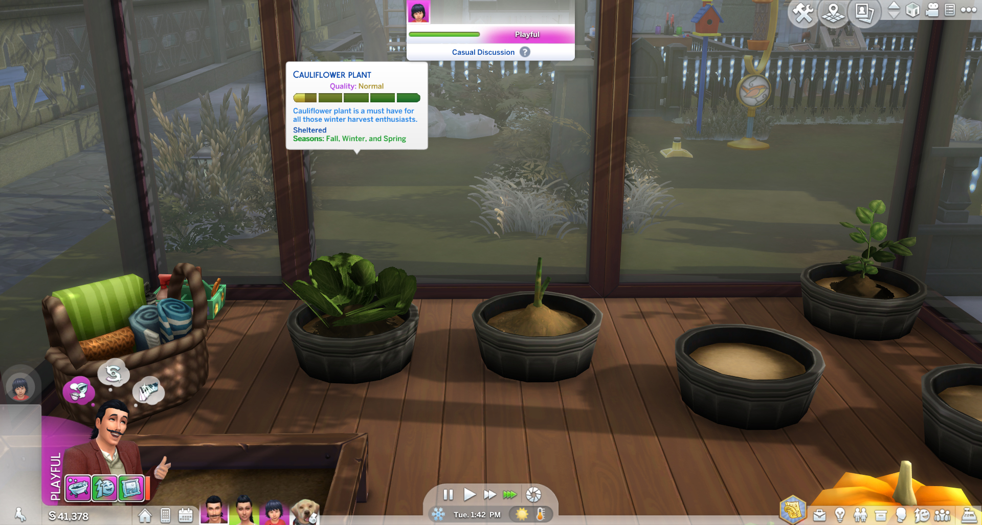Harvestable Cauliflower - The Sims 4 Mods - CurseForge
