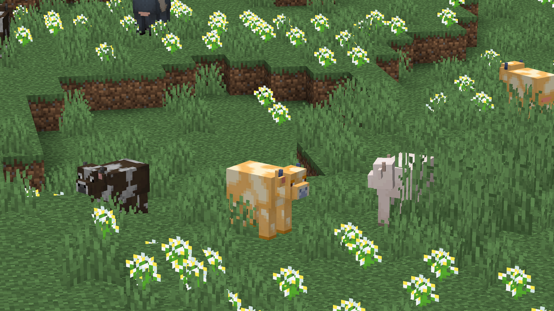 Danis Livestock Revamp Jems Minecraft Resource Packs Curseforge