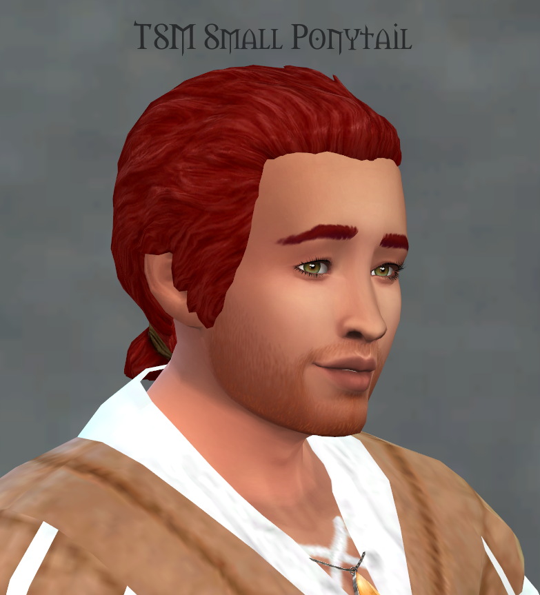 TSM Small Ponytail All Ages - The Sims 4 Create a Sim - CurseForge