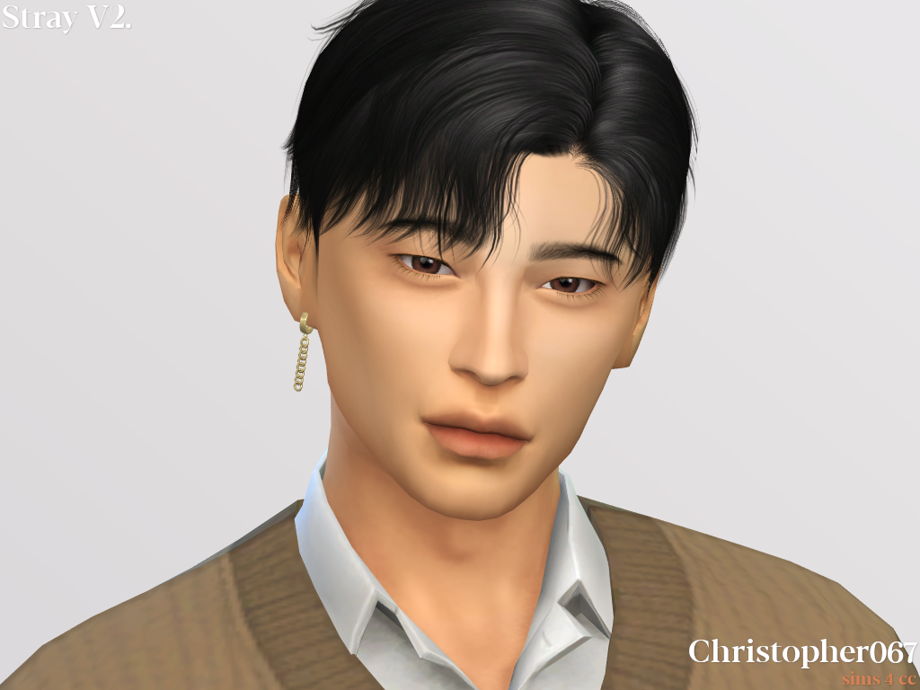 Stray Earrings V1 & V2 - The Sims 4 Create a Sim - CurseForge
