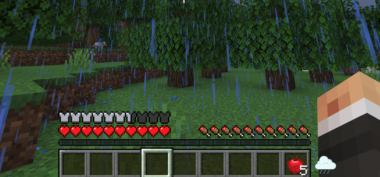 WeatherDisplay - Minecraft Mods - CurseForge