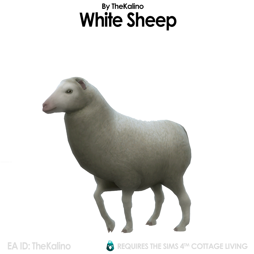 Sheeps for the Animal Shed - Gallery - The Sims 4 Build / Buy - CurseForge