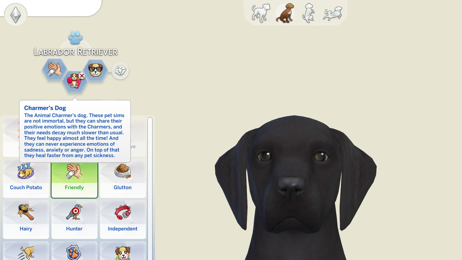 Animal Charmer Trait and 2 Pets Traits - The Sims 4 Mods - CurseForge