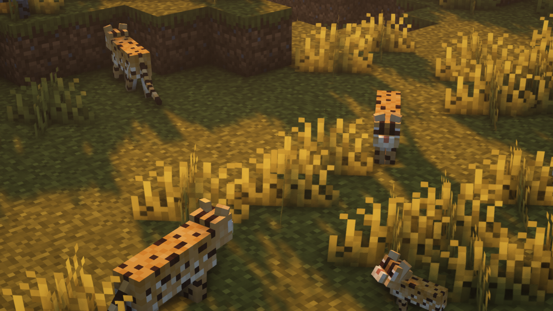 Meow Society x Fresh Animations - Minecraft Resource Packs - CurseForge