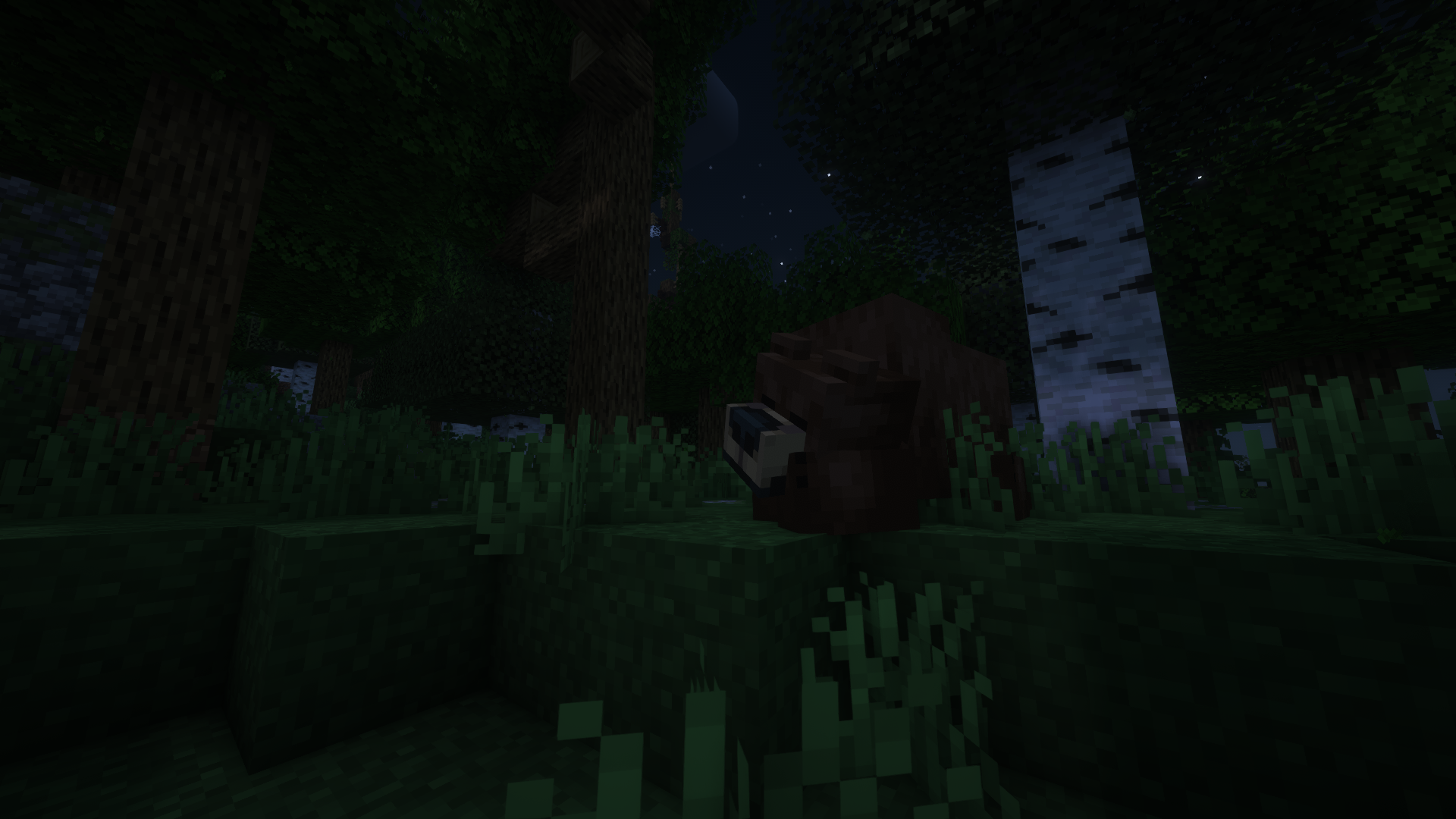 Nebulously Niche - Minecraft Modpacks - CurseForge