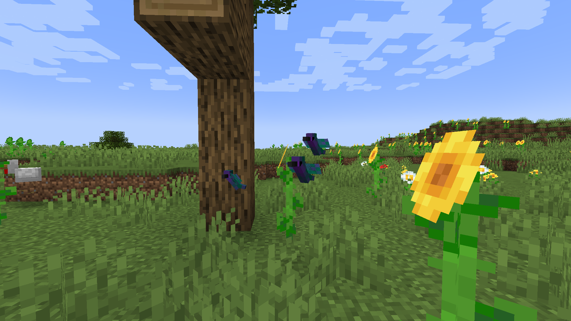 Katt's Ornithology - Minecraft Mods - CurseForge