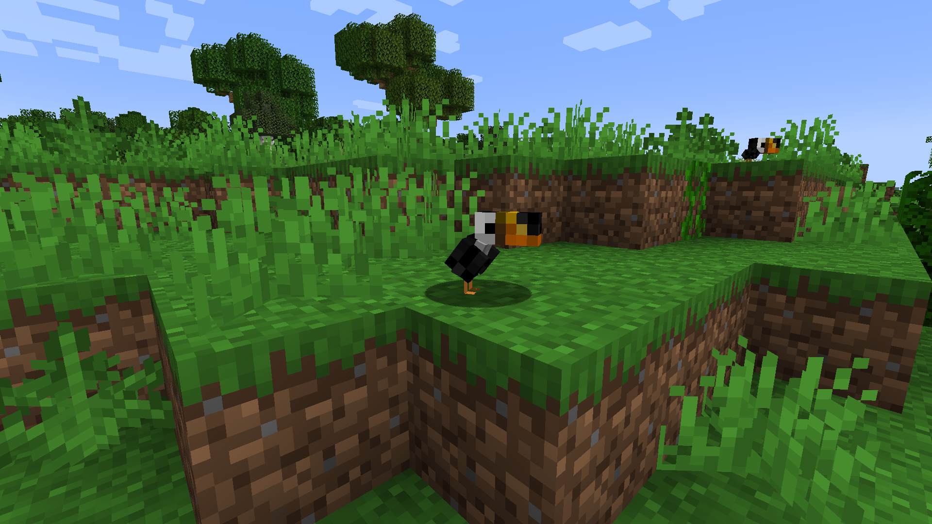 Katt's Ornithology - Minecraft Mods - CurseForge