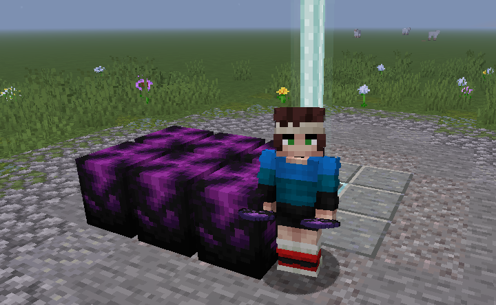 Updated Dragon Egg - Minecraft Resource Packs - CurseForge