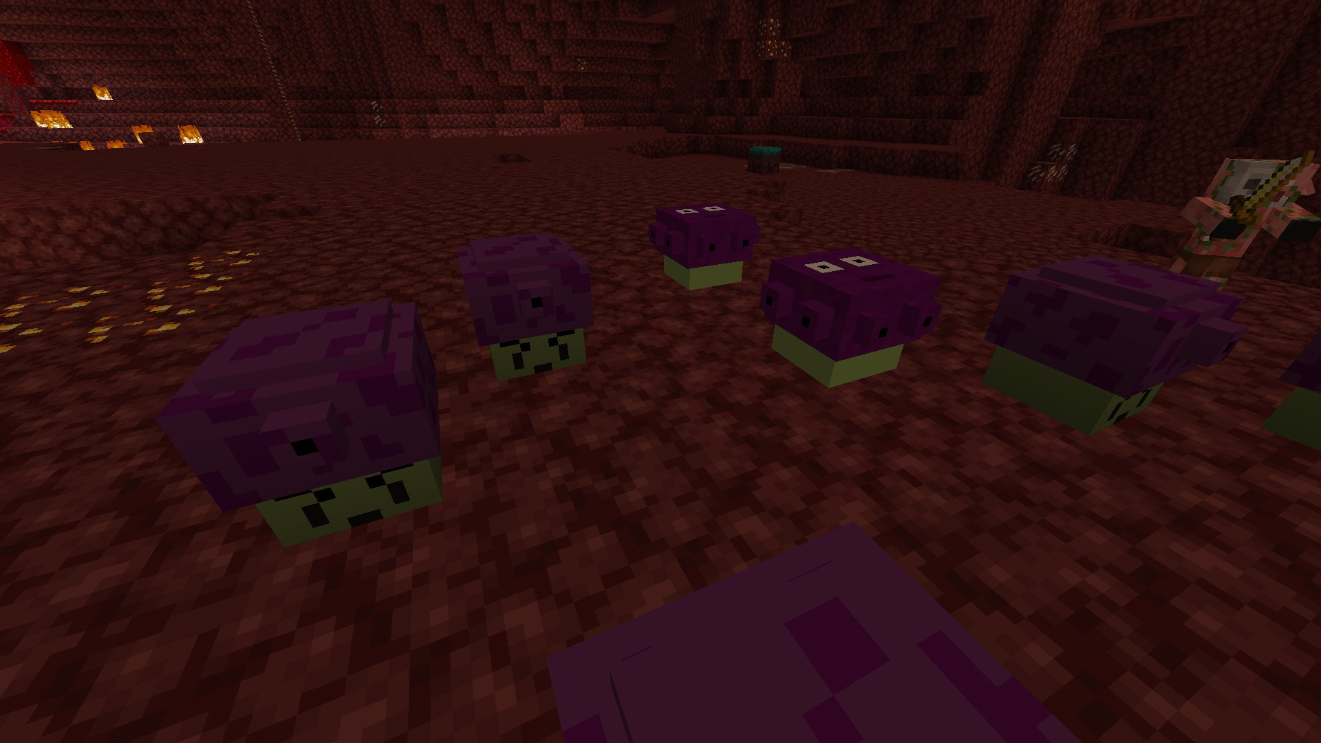 ArgentCombine's PVZ Shrooms - Minecraft Resource Packs - CurseForge