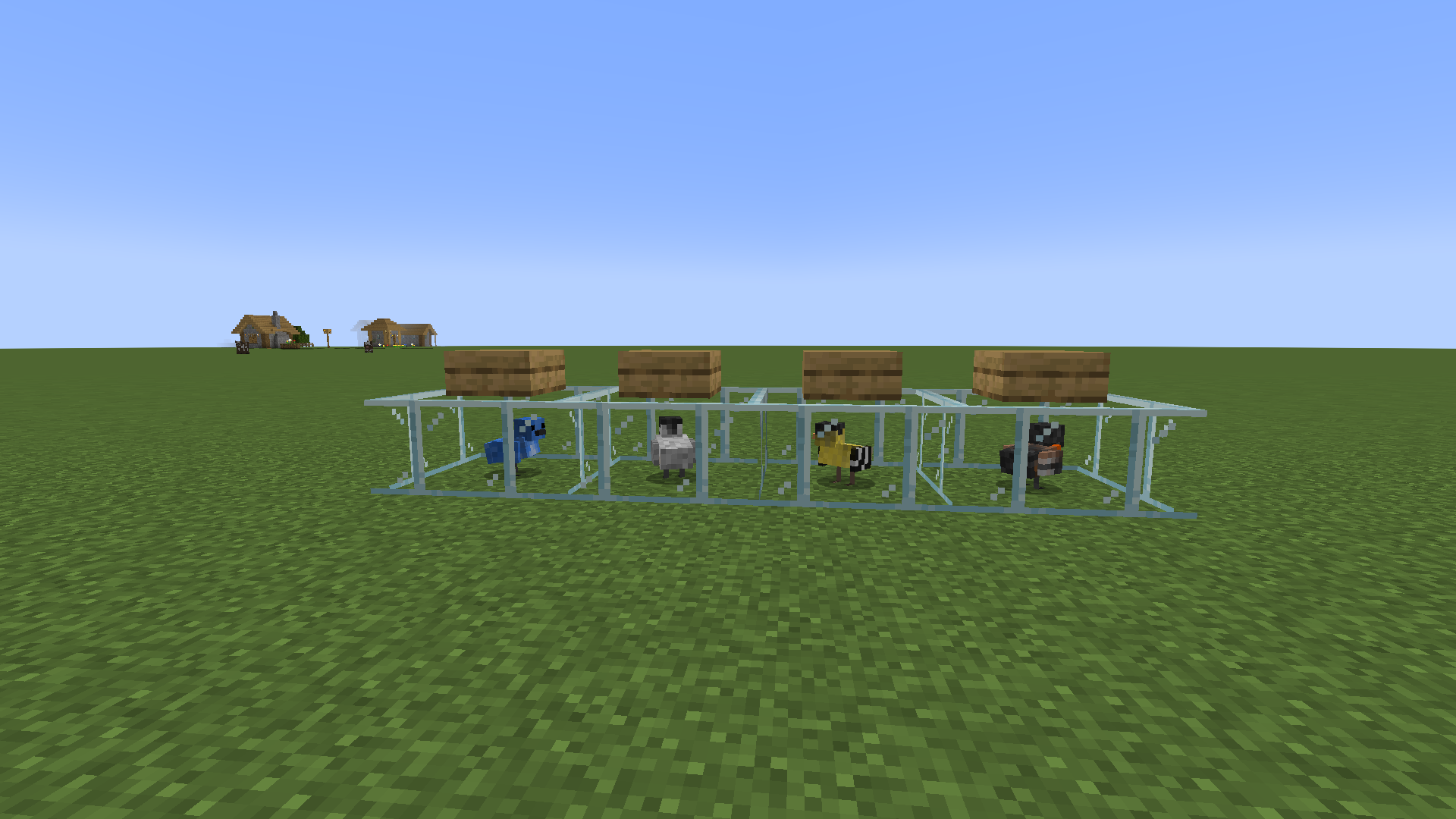 Katt's Ornithology - Minecraft Mods - CurseForge