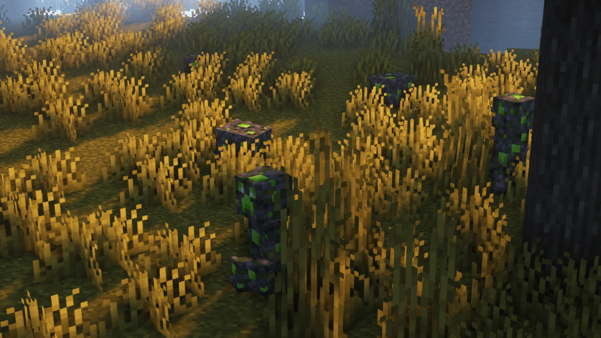 Collective Creepers x Fresh Animations - Minecraft Resource Packs ...