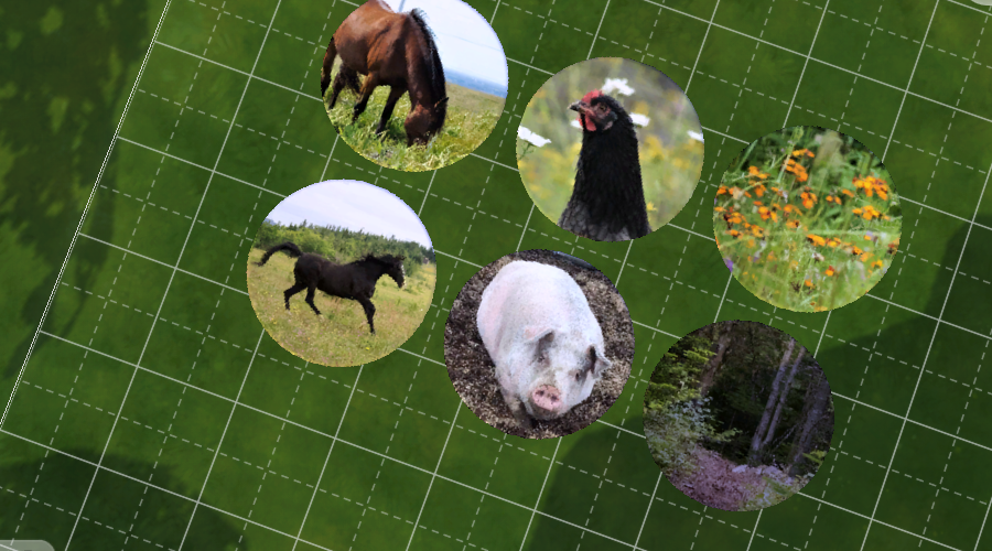 Farm Rugs - The Sims 4 Build / Buy - CurseForge