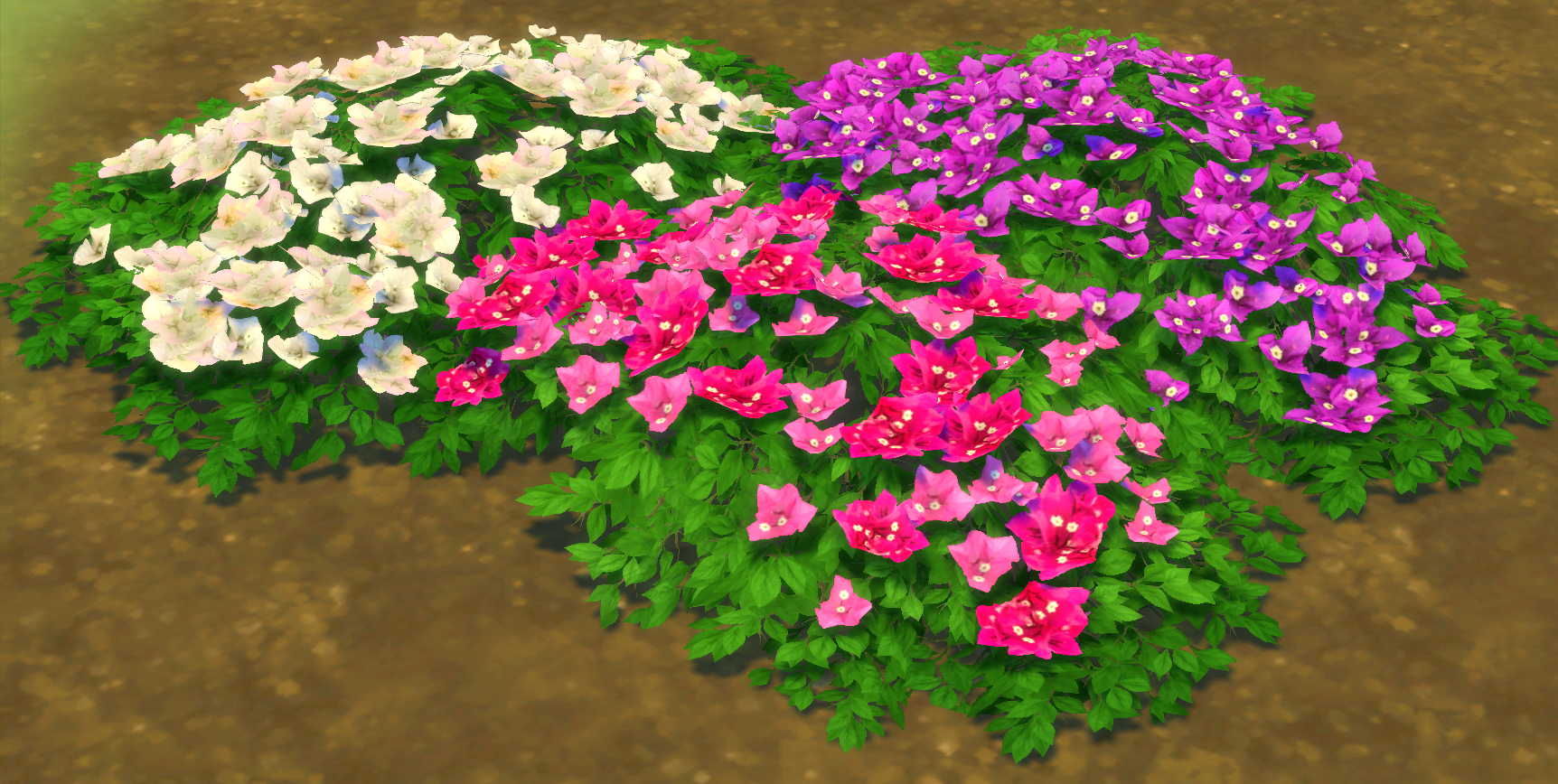 Bougainvillea Plants - The Sims 4 Build / Buy - CurseForge