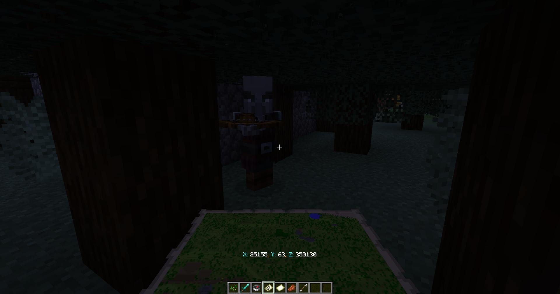 Show My Coordinates Screenshots Minecraft Mods Curseforge