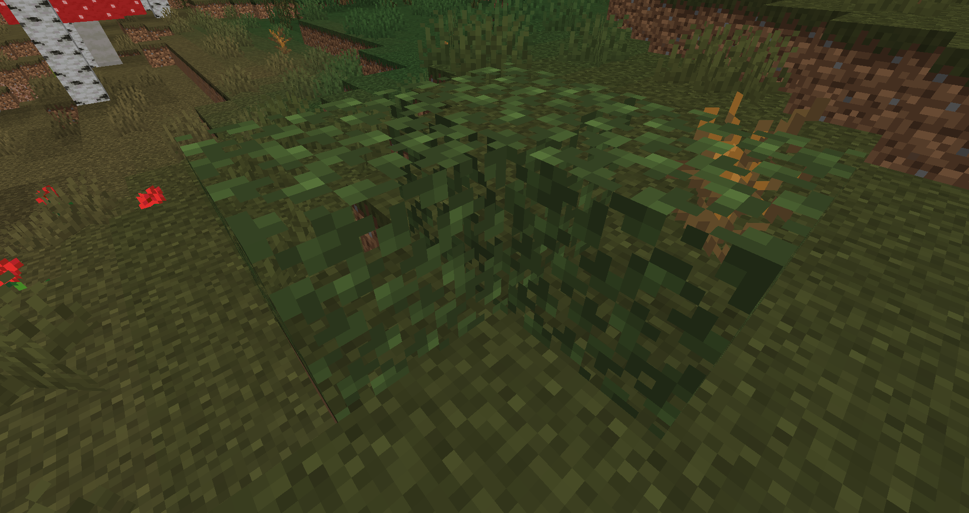 Forest update - Minecraft Mods - CurseForge