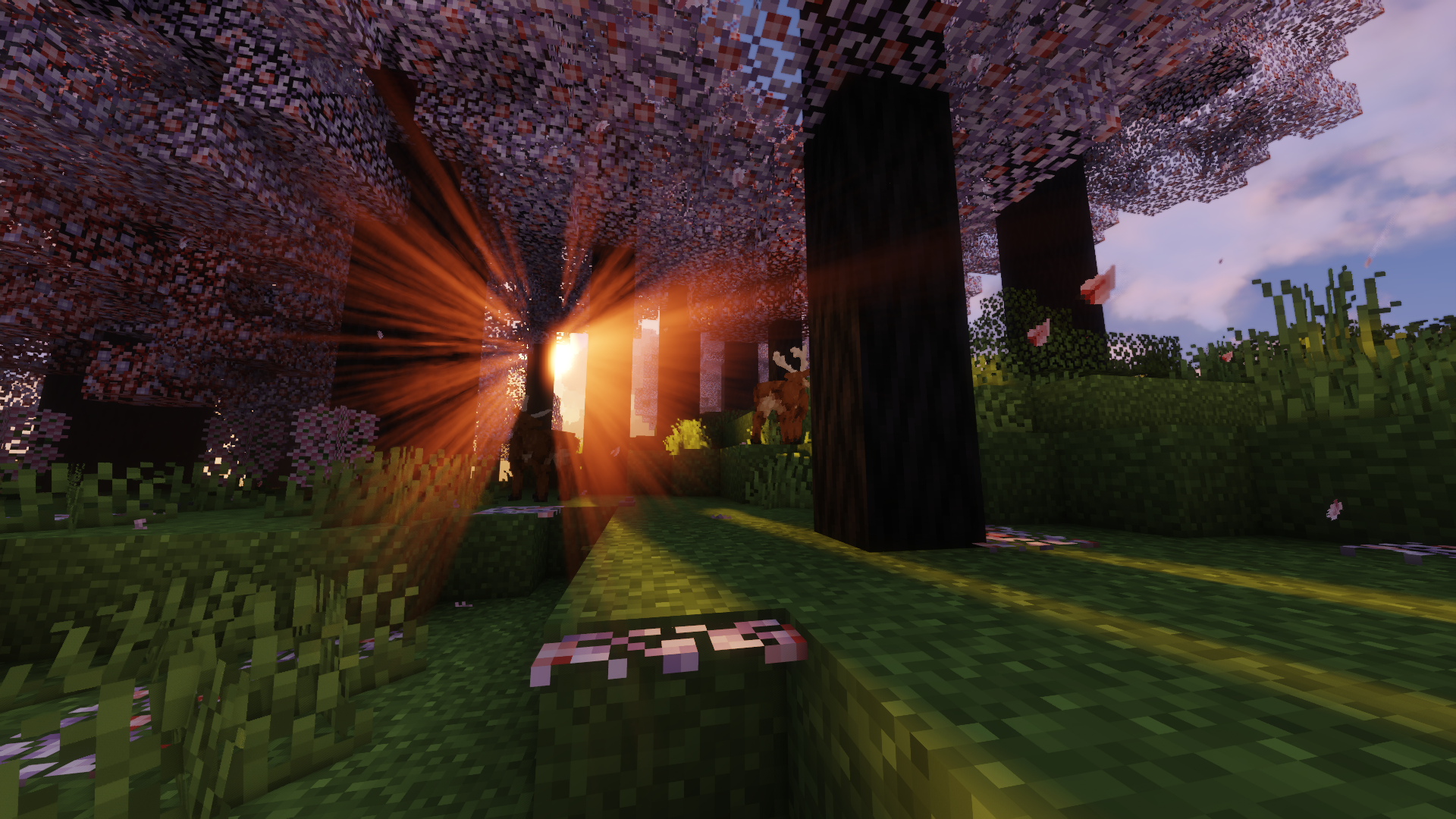 The Grog Server Collection - Gallery - Minecraft Modpacks - CurseForge