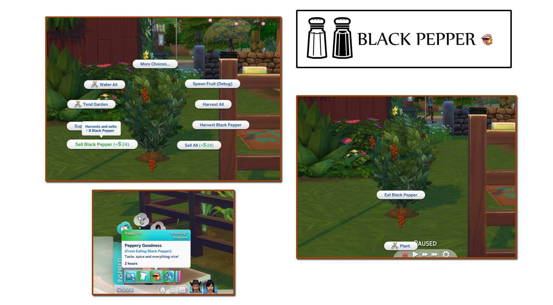 Harvestable Black Pepper - The Sims 4 Mods - CurseForge