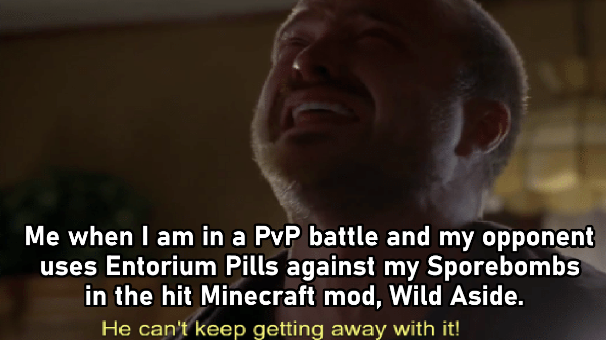 Wild Aside - Minecraft Mods - CurseForge