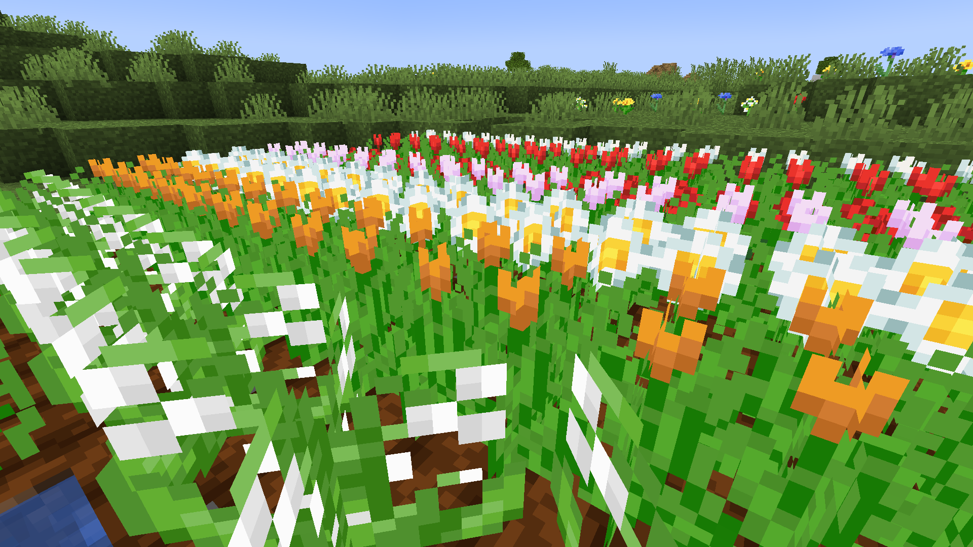 Simple Flower Crops - Decorative & Functional Farming for Dye ...
