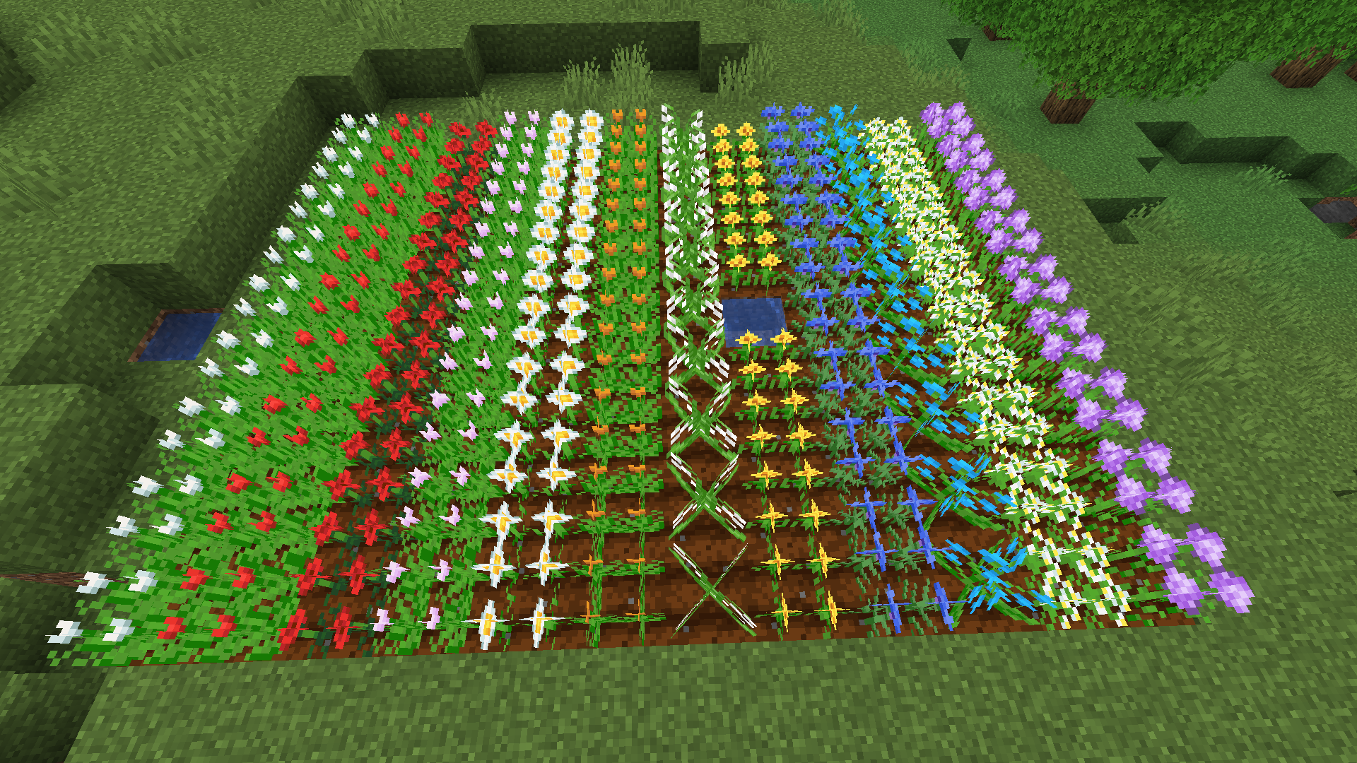 Simple Flower Crops - Decorative & Functional Farming for Dye ...