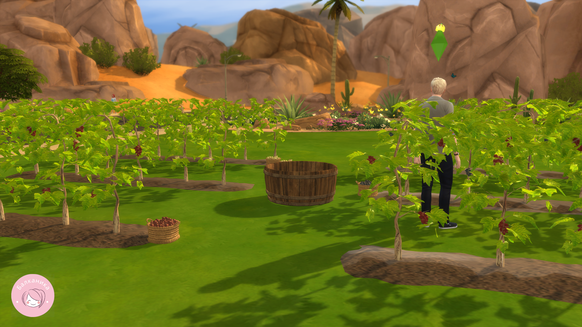 Nectar Making [Ancient Roman Theme] - The Sims 4 Mods - CurseForge