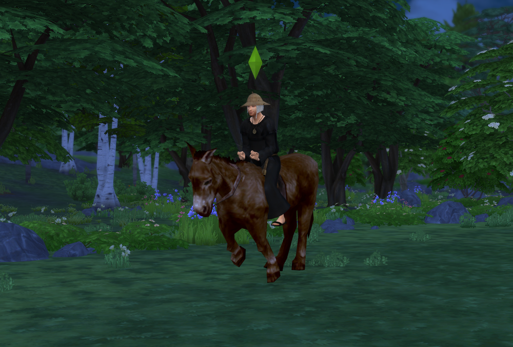 Dapple the Donkey - instead of a bike - The Sims 4 Build / Buy - CurseForge