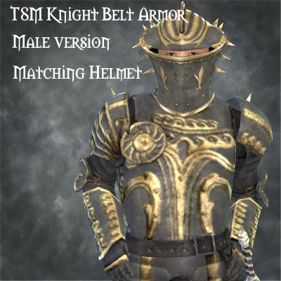 TSM Knight Belt Armor for male adults - with matching helm - Gallery ...