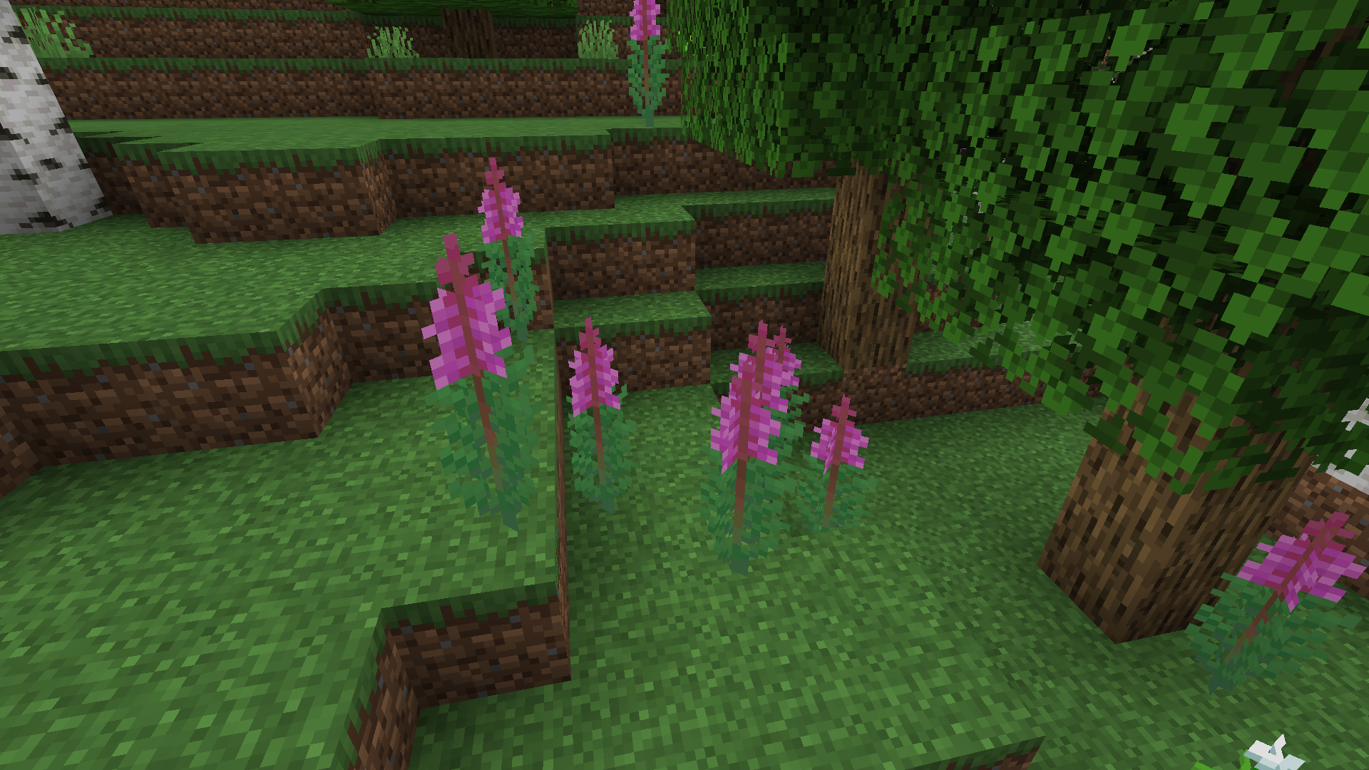 Swedish Flora - Minecraft Resource Packs - CurseForge