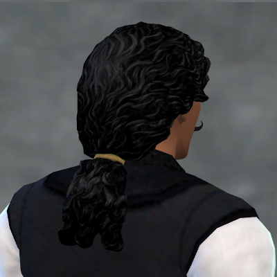 TSM Curly Long Ponytail Hair - Gallery - The Sims 4 Create a Sim ...