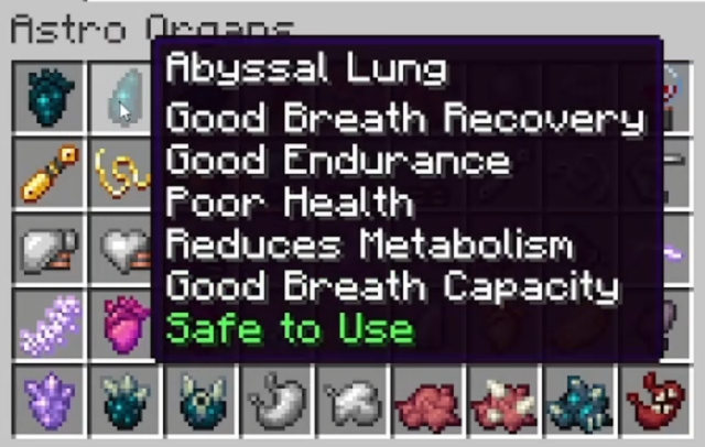 Astro adds to Chest Cavity (updated) [Fabric] - Gallery - Minecraft ...