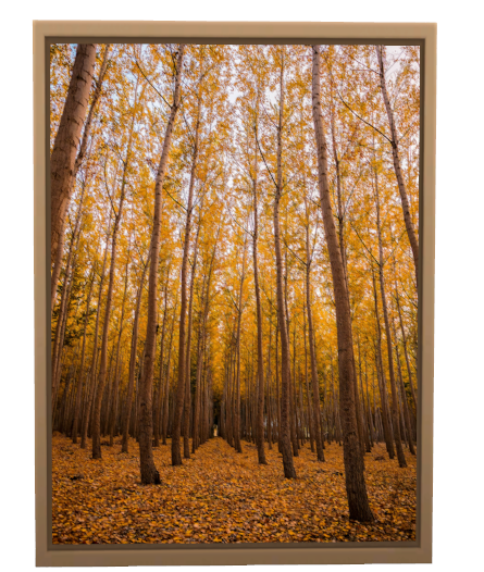 Autumn forest wall prints - Gallery - The Sims 4 Build / Buy - CurseForge