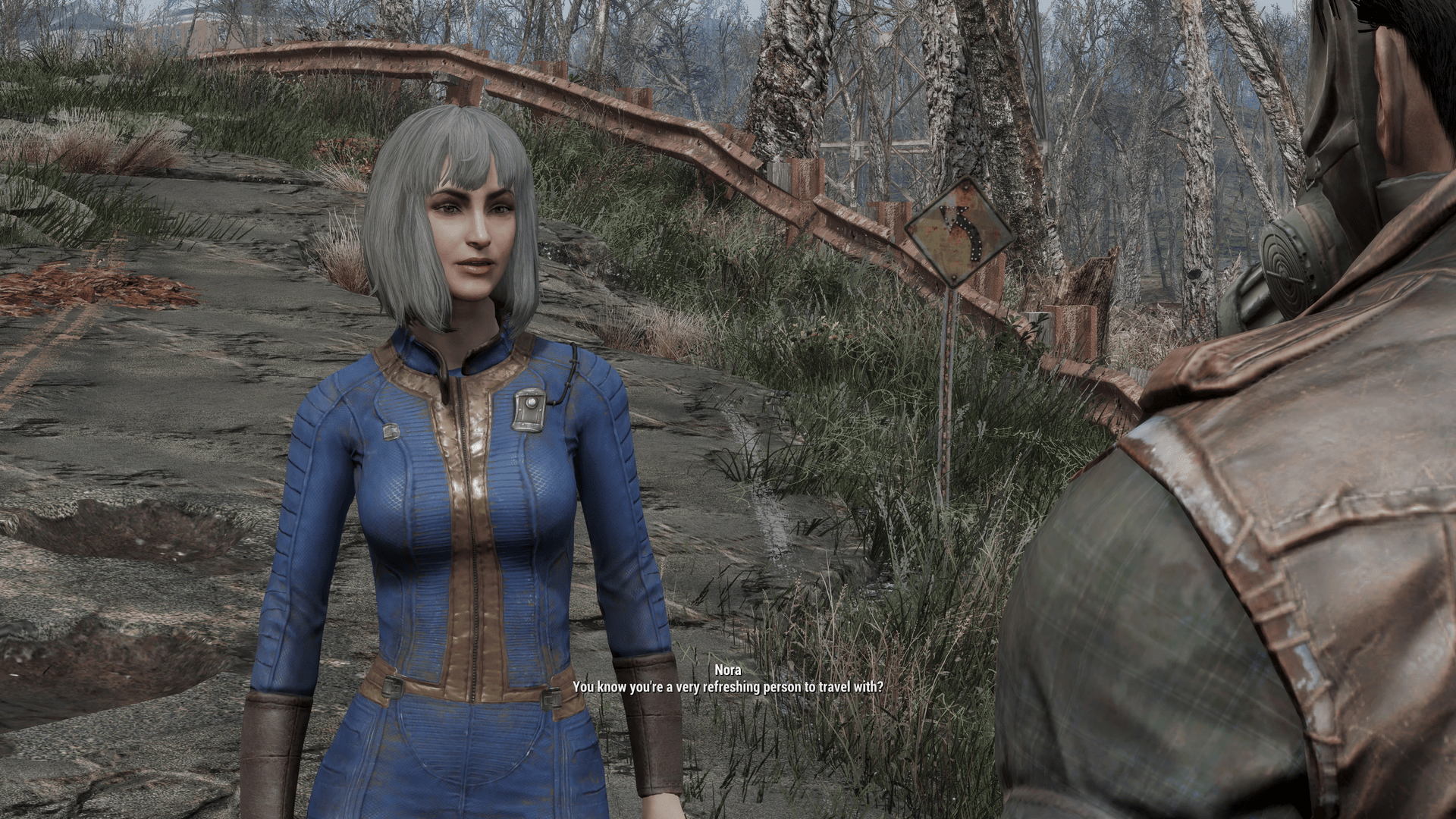 Modern minimal HUD - FallUI Preset - Gallery - Fallout 4 Mods - CurseForge