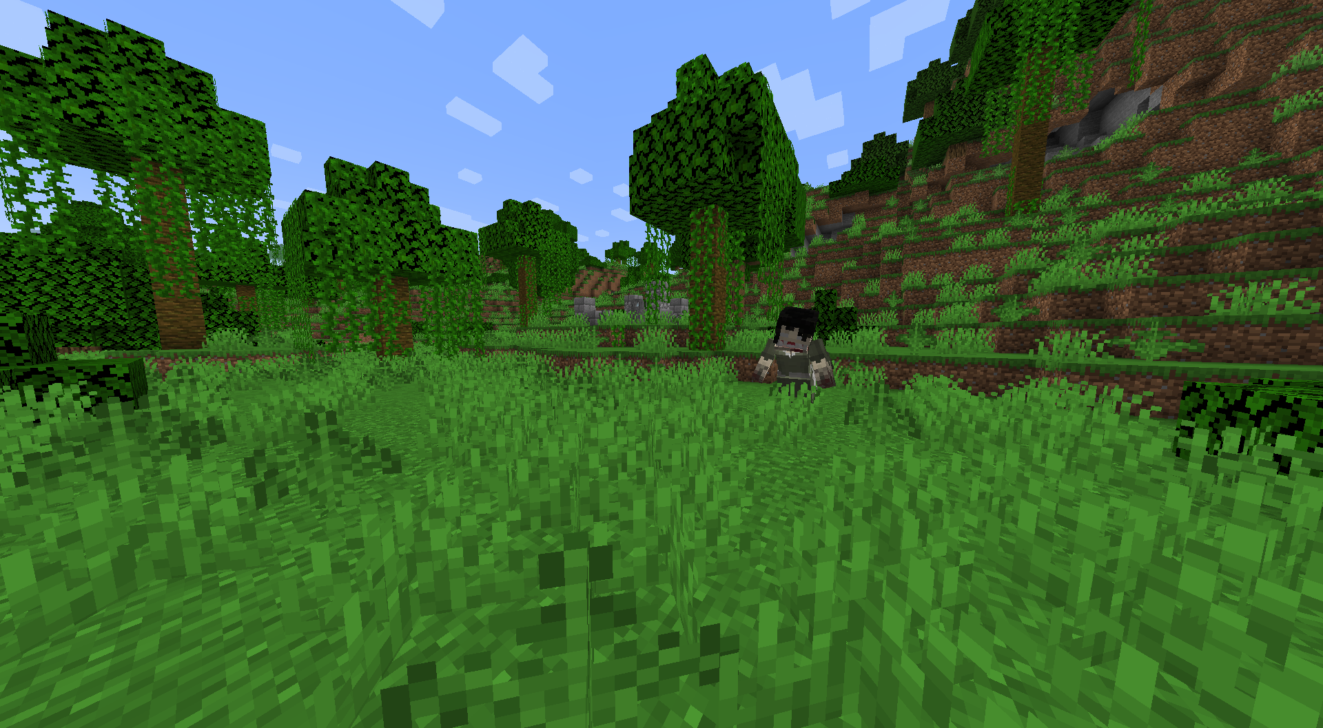 The Witcher World - Gallery - Minecraft Mods - CurseForge