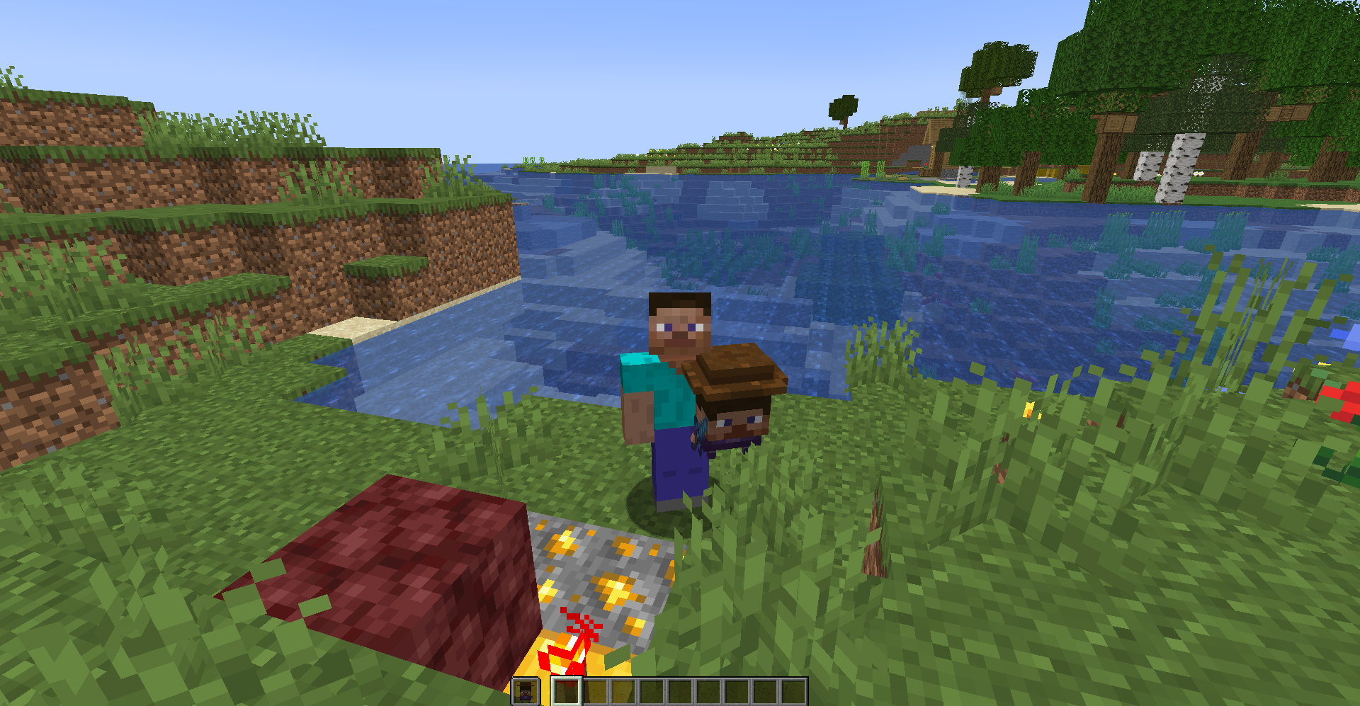 Micro Steve - Gallery - Minecraft Mods - CurseForge