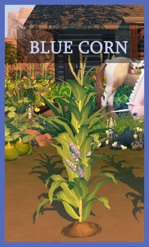 Harvestable Blue Corn - Gallery - The Sims 4 Mods - CurseForge