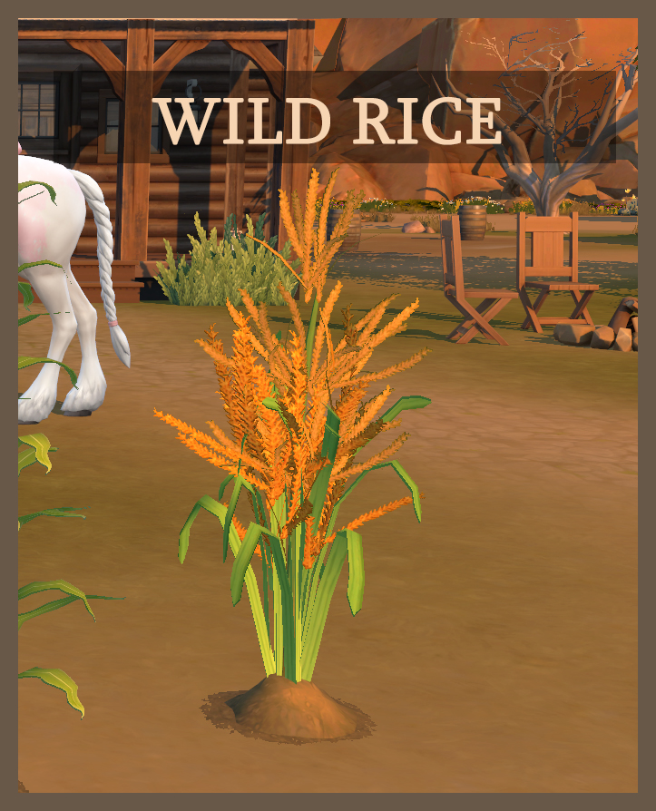 Harvestable Wild Rice - Gallery - The Sims 4 Mods - CurseForge