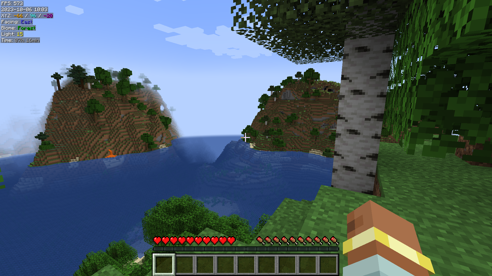 GPS Displayer - Gallery - Minecraft Mods - CurseForge