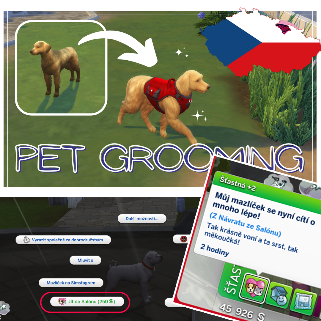 GRUMPY Pet Grooming Salon CZ - Gallery - The Sims 4 Mods - CurseForge