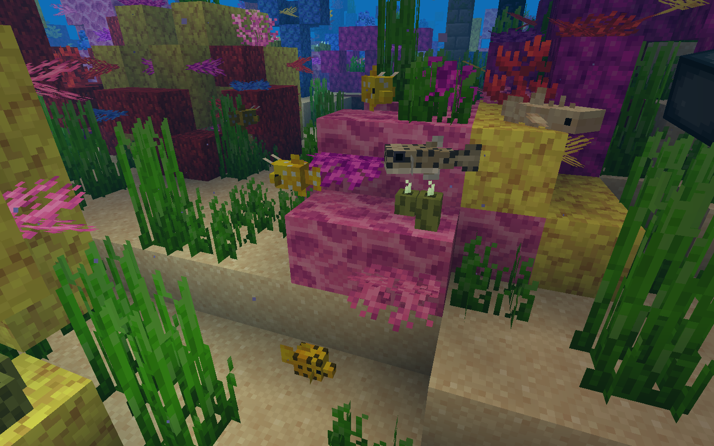 some fish - Gallery - Minecraft Resource Packs - CurseForge