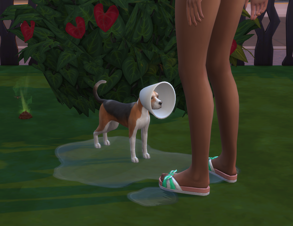 Install Treat Sick Pet At Home - The Sims 4 Mods - CurseForge