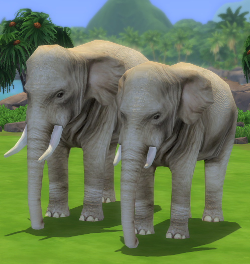 Tomarang Decorative Animals - Gallery - The Sims 4 Build / Buy - CurseForge