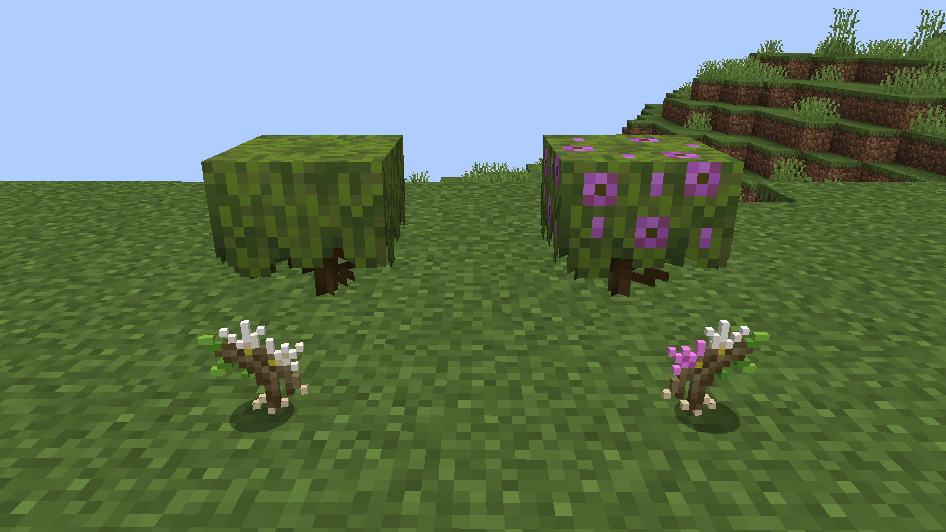 Enough of sprouts - Gallery - Minecraft Resource Packs - CurseForge