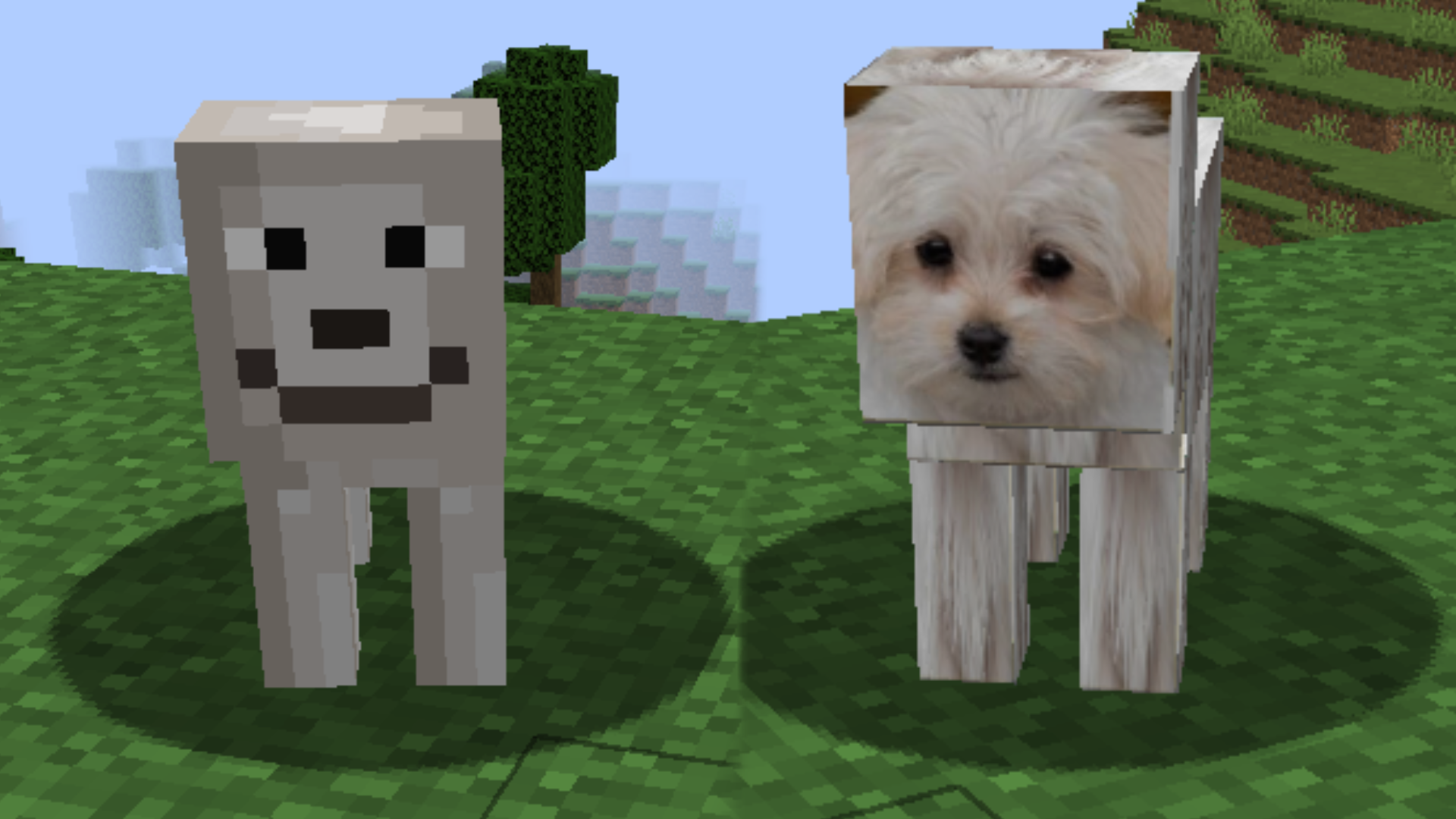 Swal "remastered" - Gallery - Minecraft Mods - CurseForge
