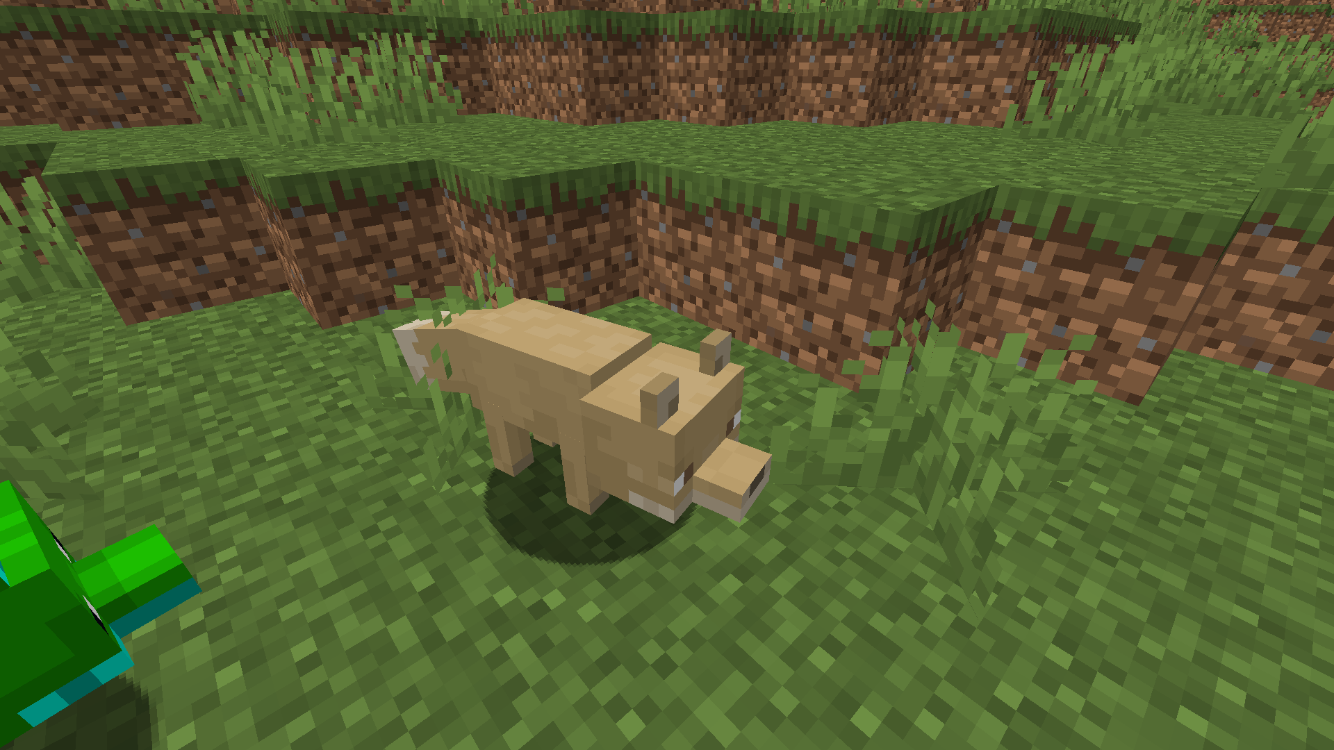 Much More Foxes - Gallery - Minecraft Mods - CurseForge