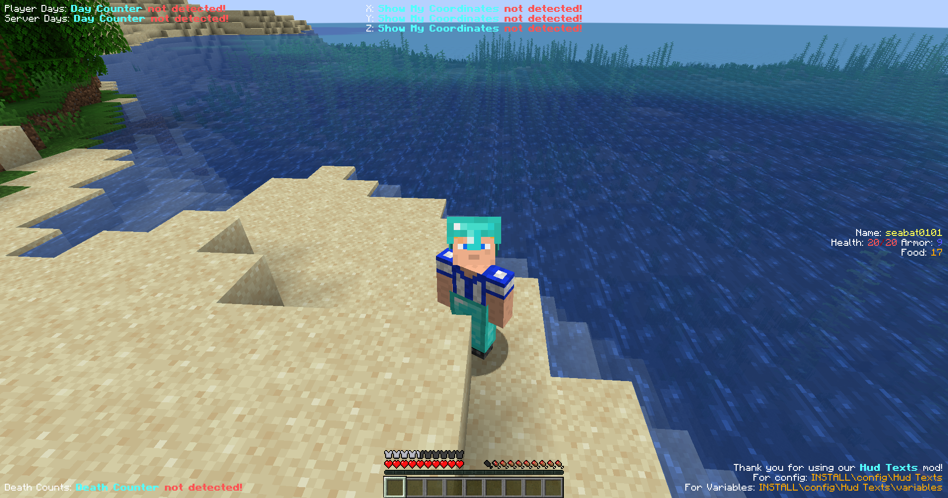 Hud Texts - Minecraft Mods - CurseForge