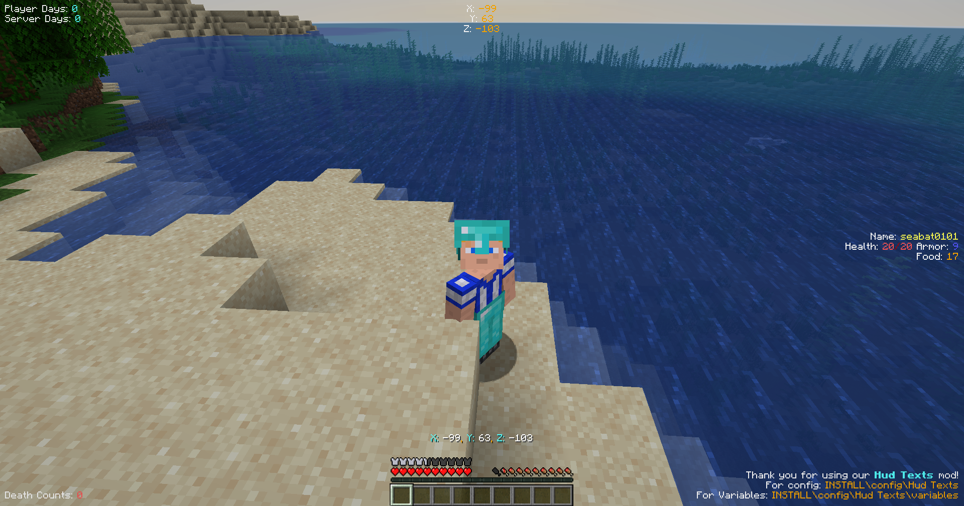 Hud Texts - Minecraft Mods - CurseForge