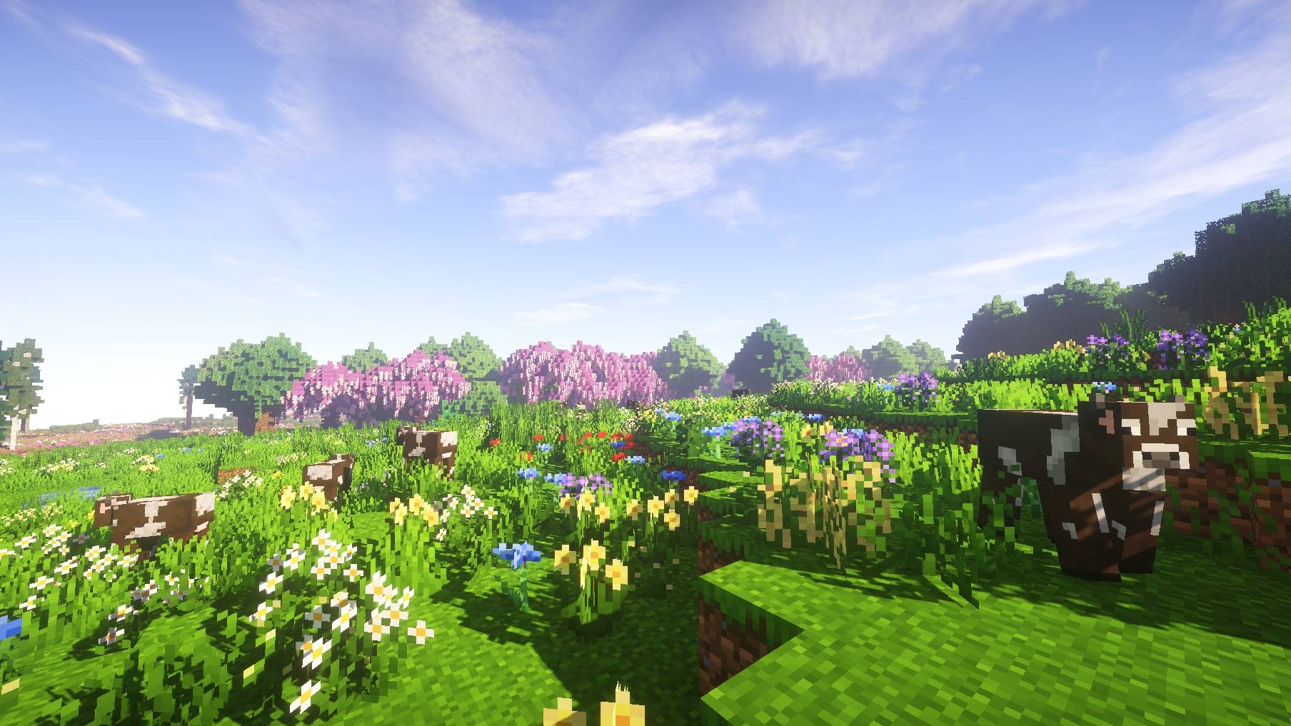 WildNature | A Wilder Experience - Gallery - Minecraft Mods - CurseForge