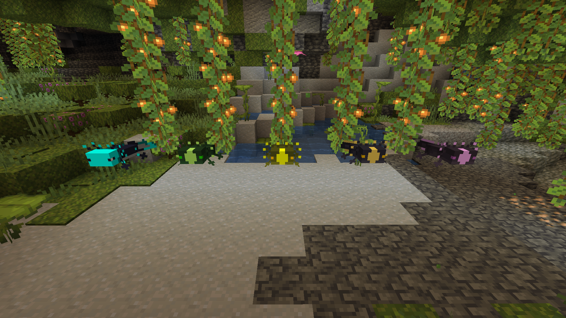 Lissiceous Axolotls - Gallery - Minecraft Resource Packs - CurseForge