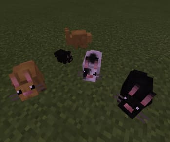 Mo' Creatures Add-on (1.0.3) - Minecraft Bedrock Addons - CurseForge
