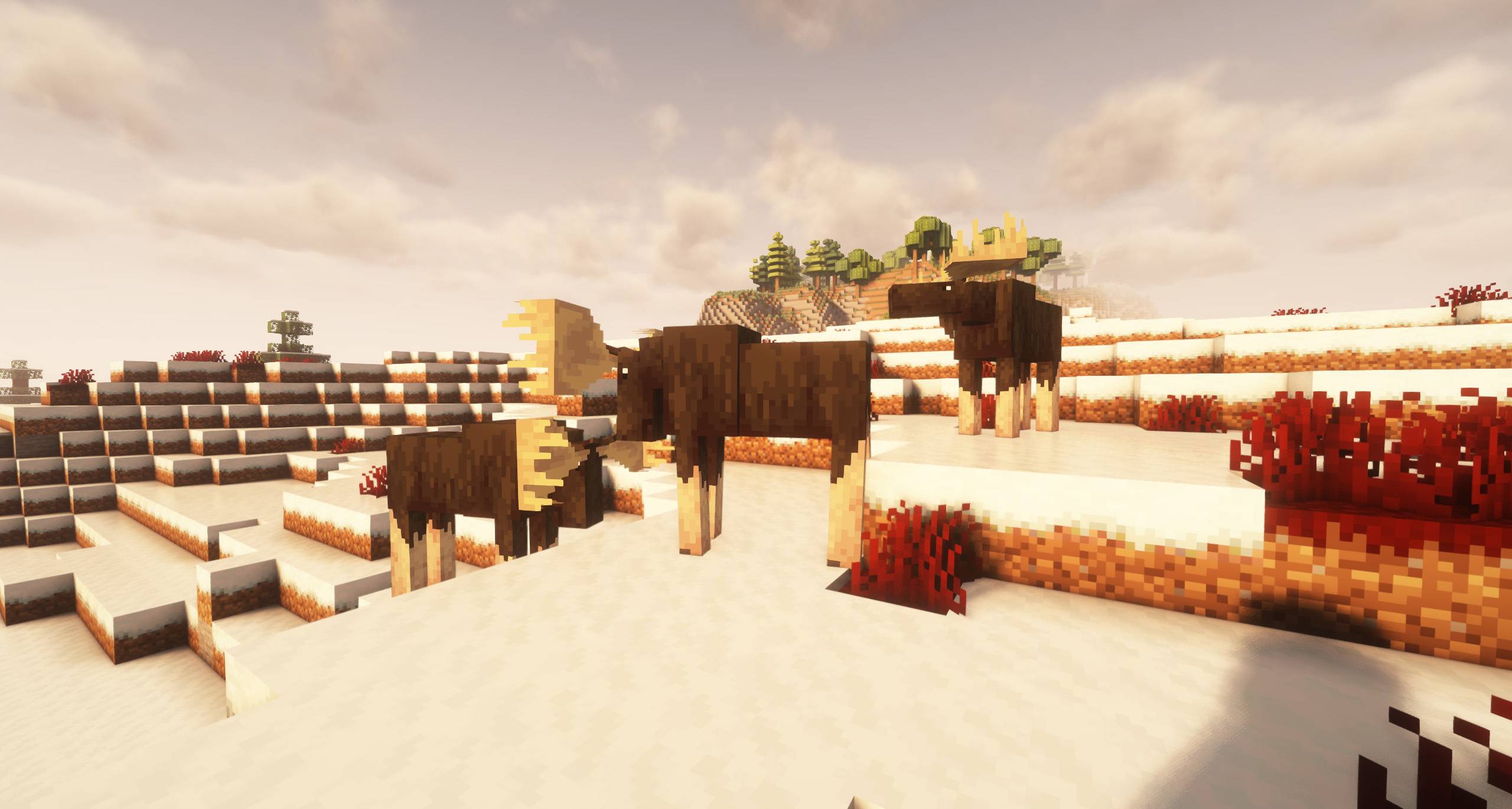 More Biomes [FABRIC] - 1.21 UPDATE! - Minecraft Modpacks - CurseForge